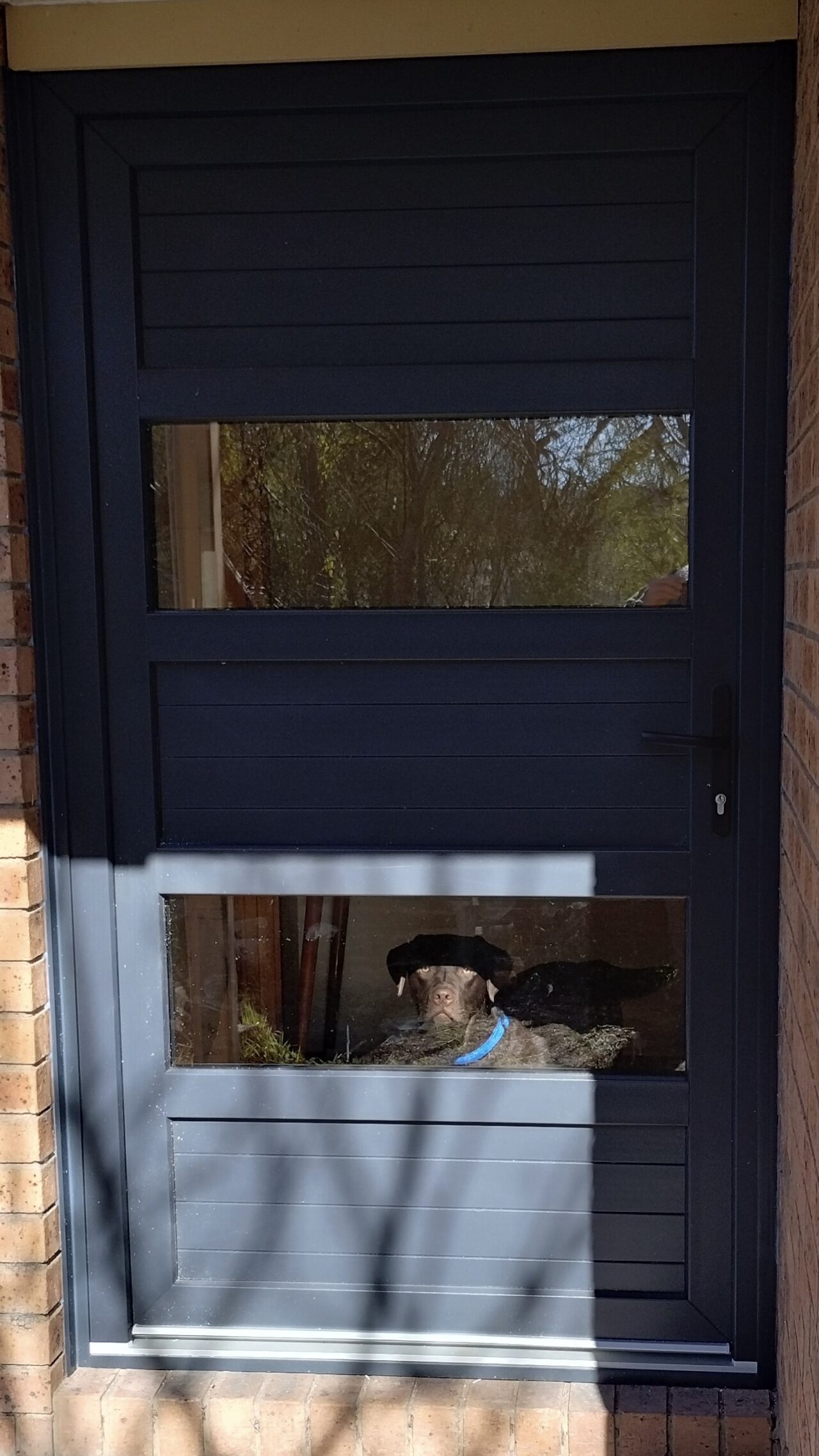 Panel Transom | Solace Creations Double Glazed Windows and Doors